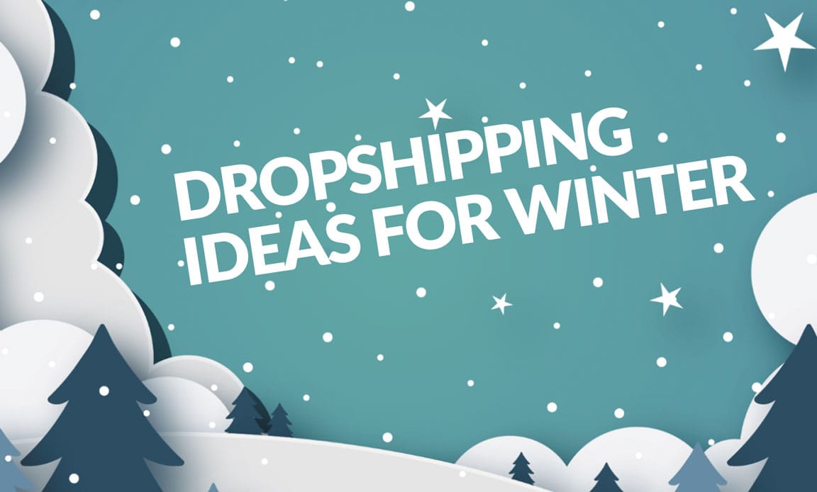 Dropshipping Ideas: Picks for Every Season in 2024